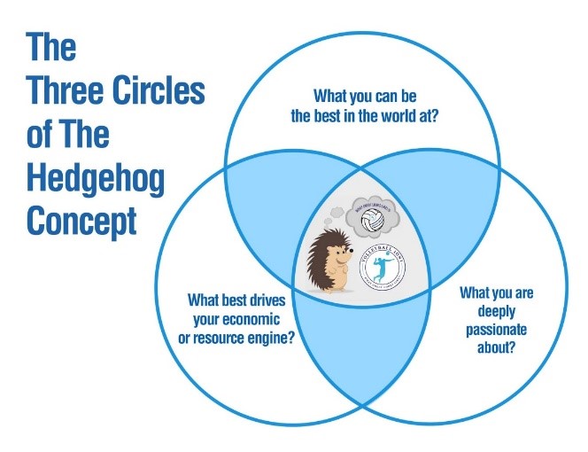 The Hedgehog Concept For Volleyball - How To Apply The Most Successful ...