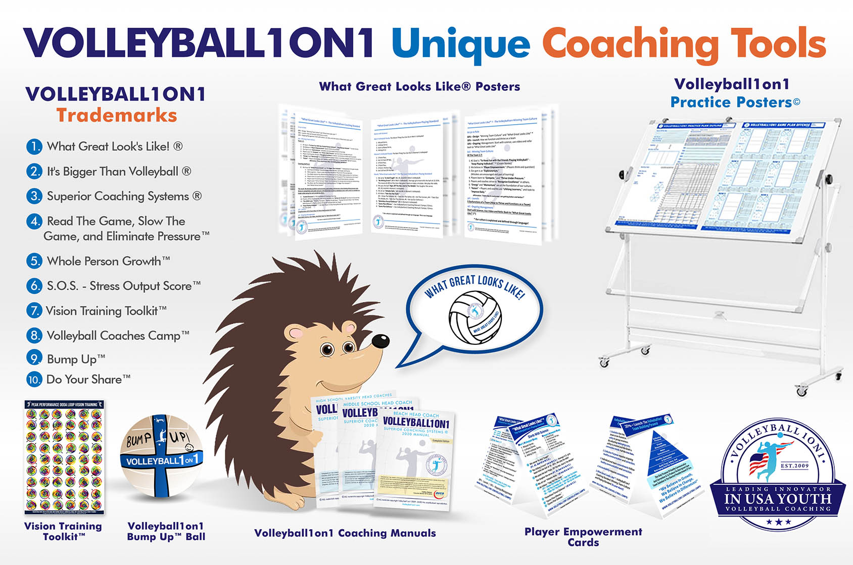 About Volleyball1on1 - The First Instructional Volleyball Coaching ...